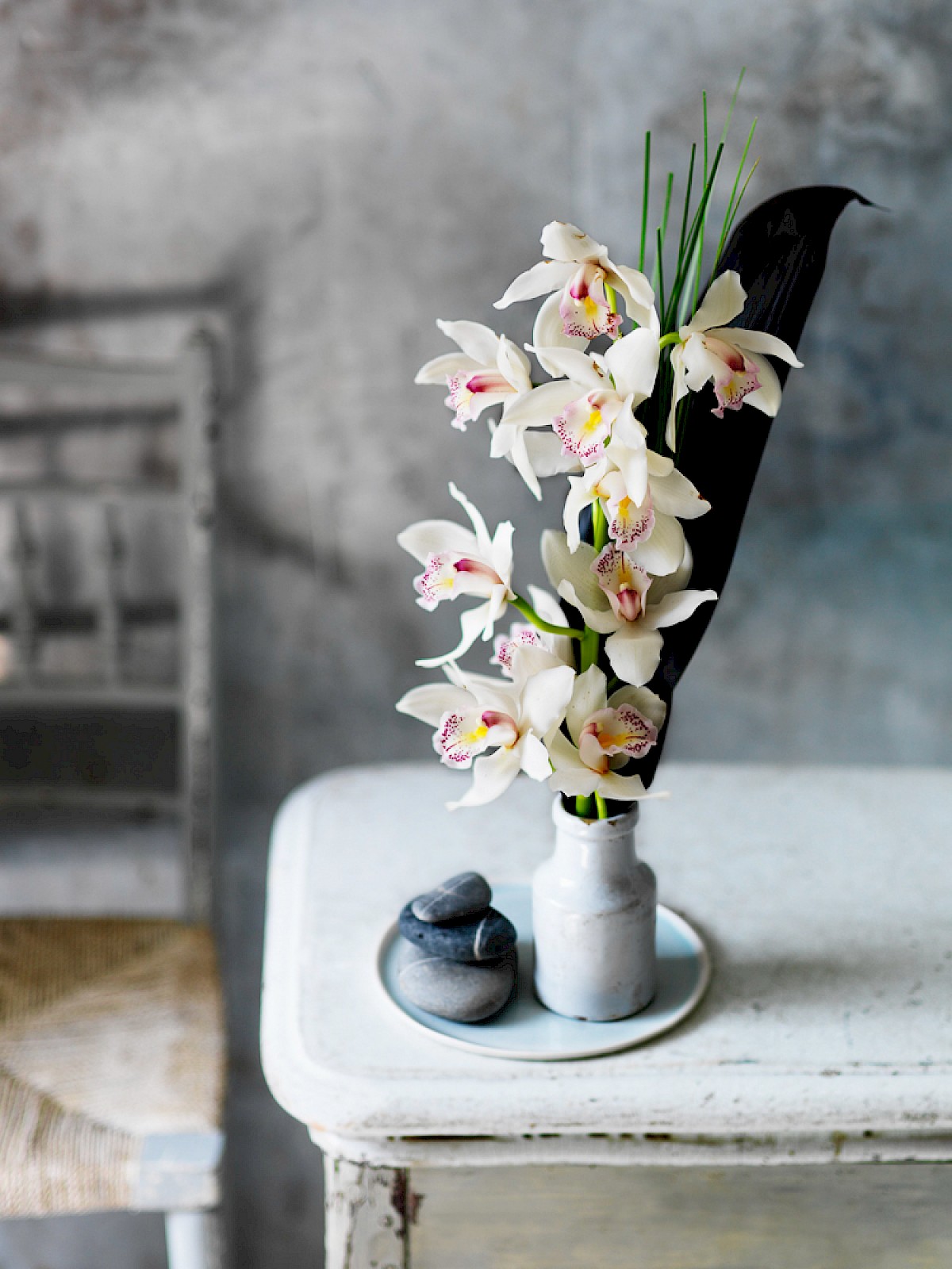 Cymbidium Flowers - Karen Thomas Photography